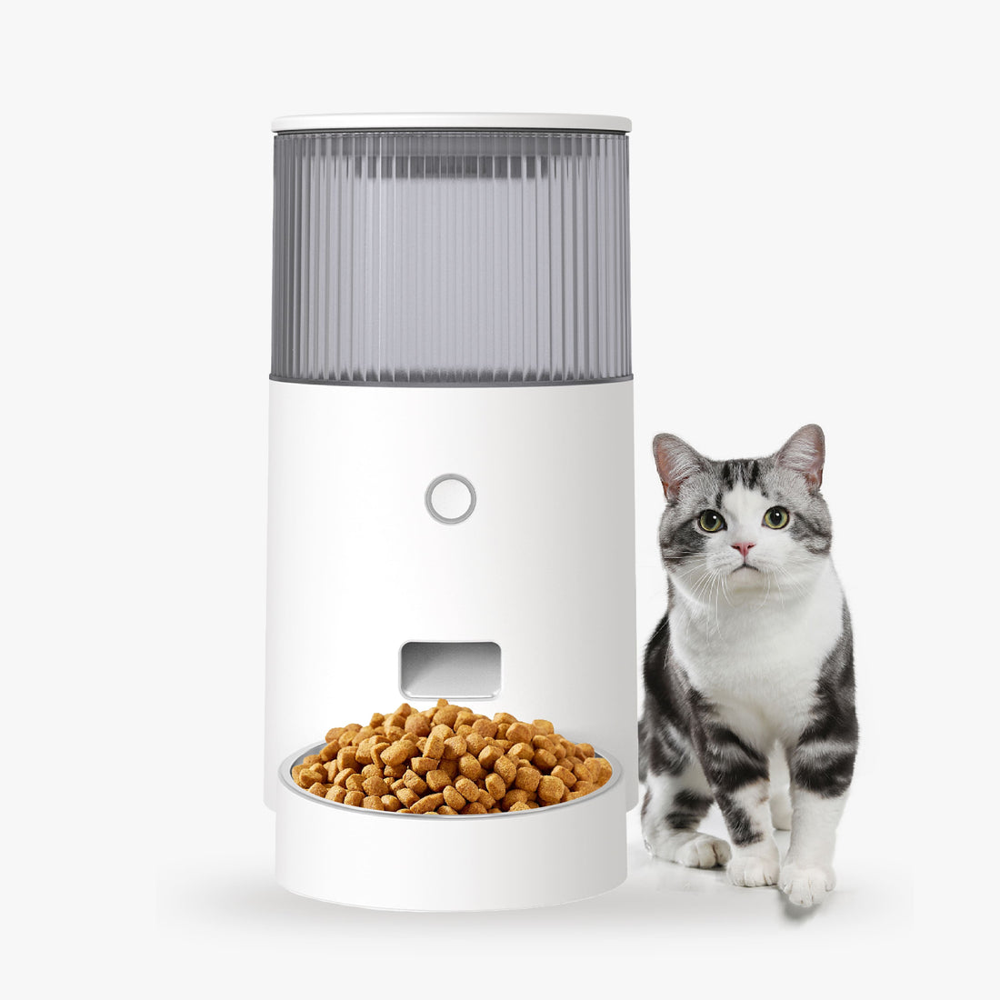 Petmarvel Smart Pet Feeder [mini] | Wellbots | Free Shipping
