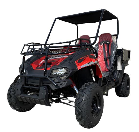 TrailMaster Challenger 200U UTV Side-by-Side, Front Cargo Rack, Rear D