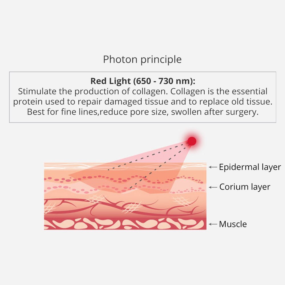 Shape Tactics Portable 5-in-1 40K Cavitation Body Contouring System