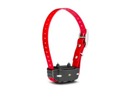 Garmin PT10 Dog Device Collar | Wellbots | Free Shipping